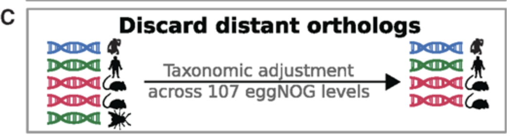 Transcriptome Annotation