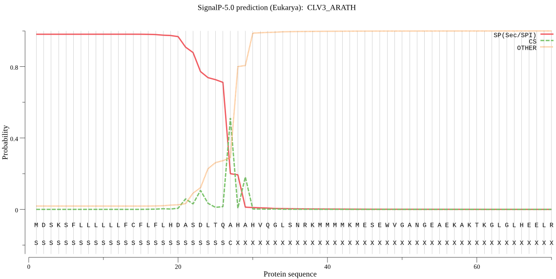 Transcriptome Annotation